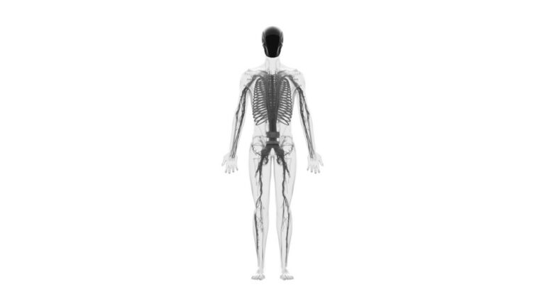 西部世界成真？世界首個雙足肌肉骨骼仿生機器人 Protoclone V1 掀起熱議 - 電腦王阿達